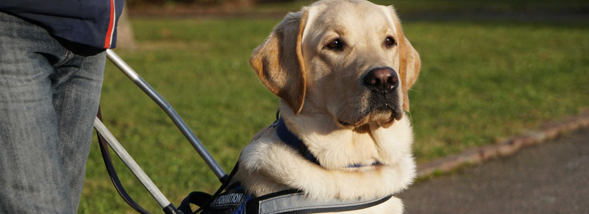 Chiens Guides de l'Est - Association et Ecole Chiens Guides d'Aveugles